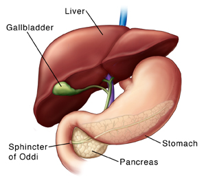 Sphincter of Oddi Dysfunction