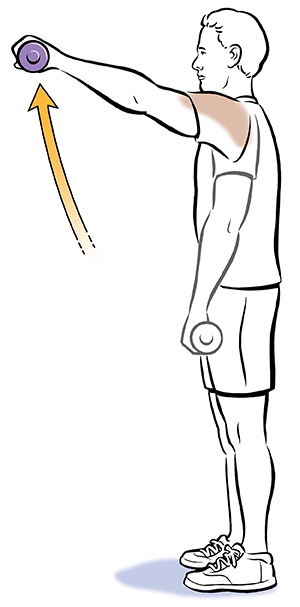 Shoulder Flexion (Strength)